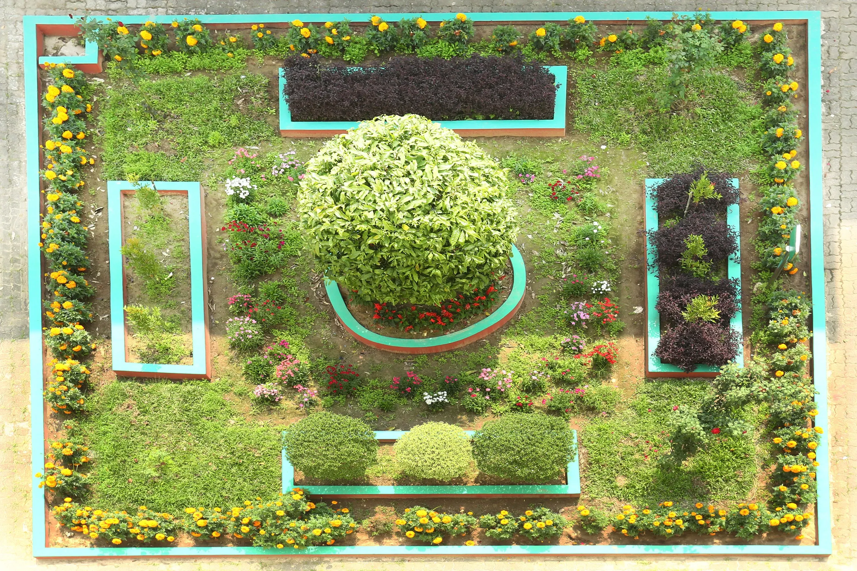 BLC-Brac Learning Centre