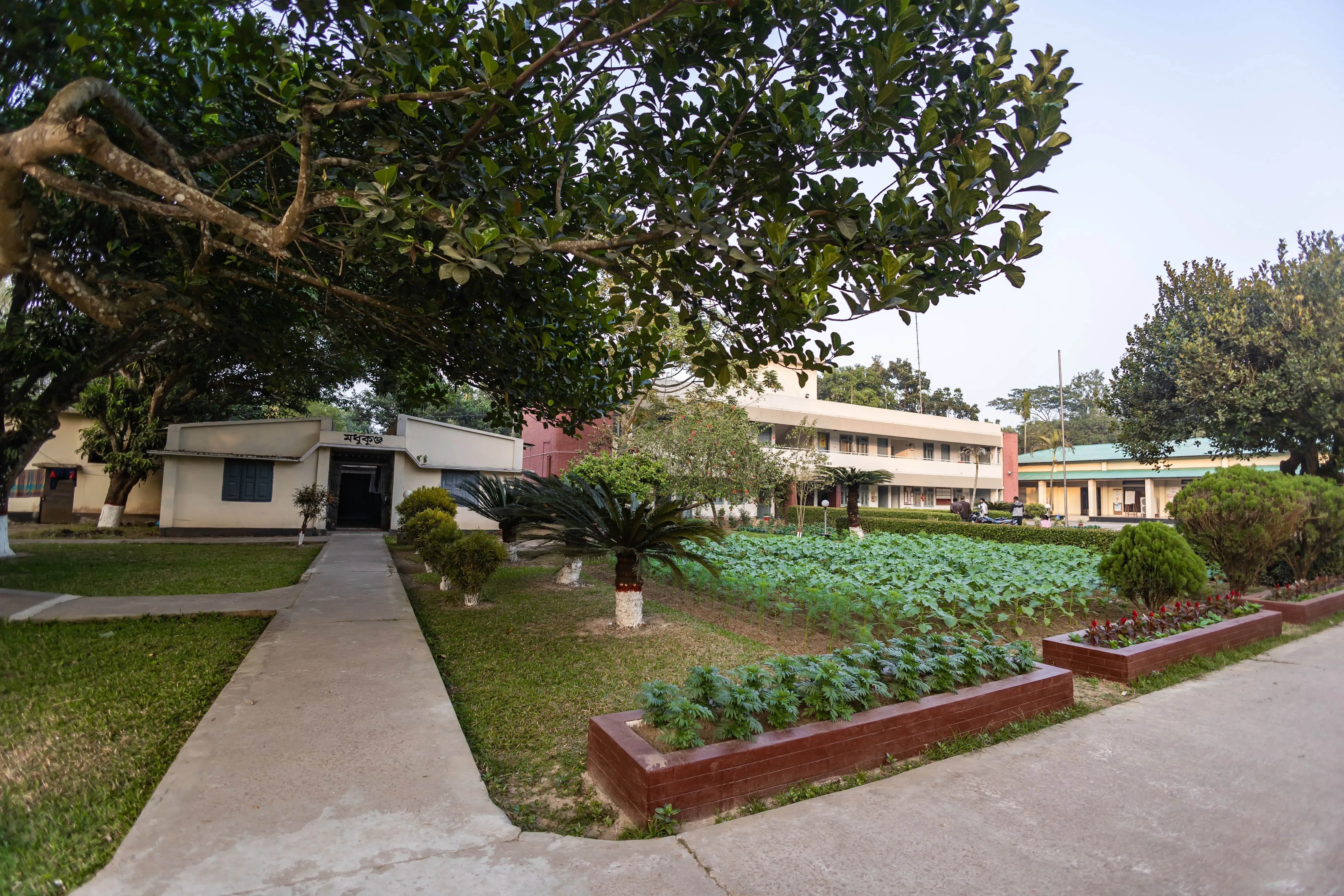 BLC-Brac Learning Centre