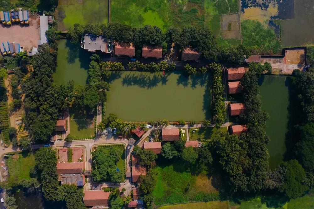 BLC-Brac Learning Centre