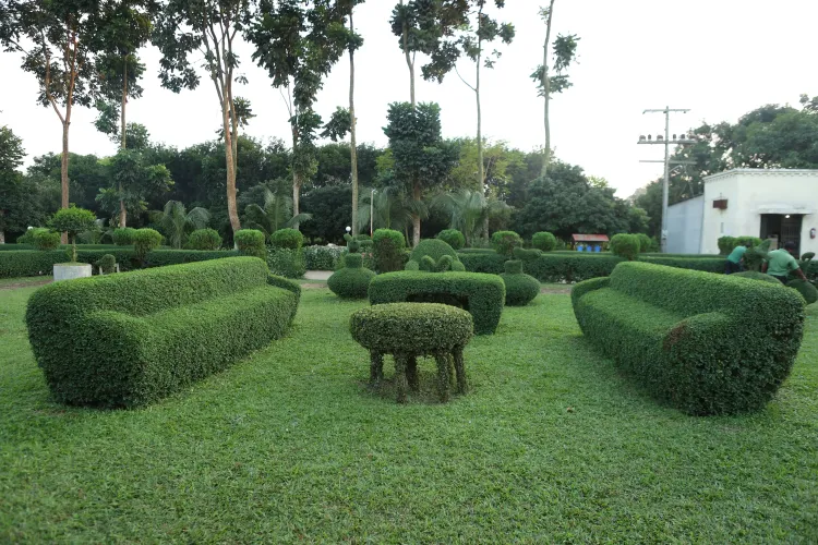 BLC-Brac Learning Centre