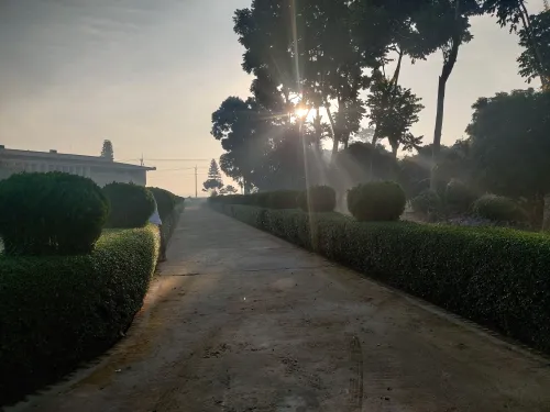 BLC-Brac Learning Centre